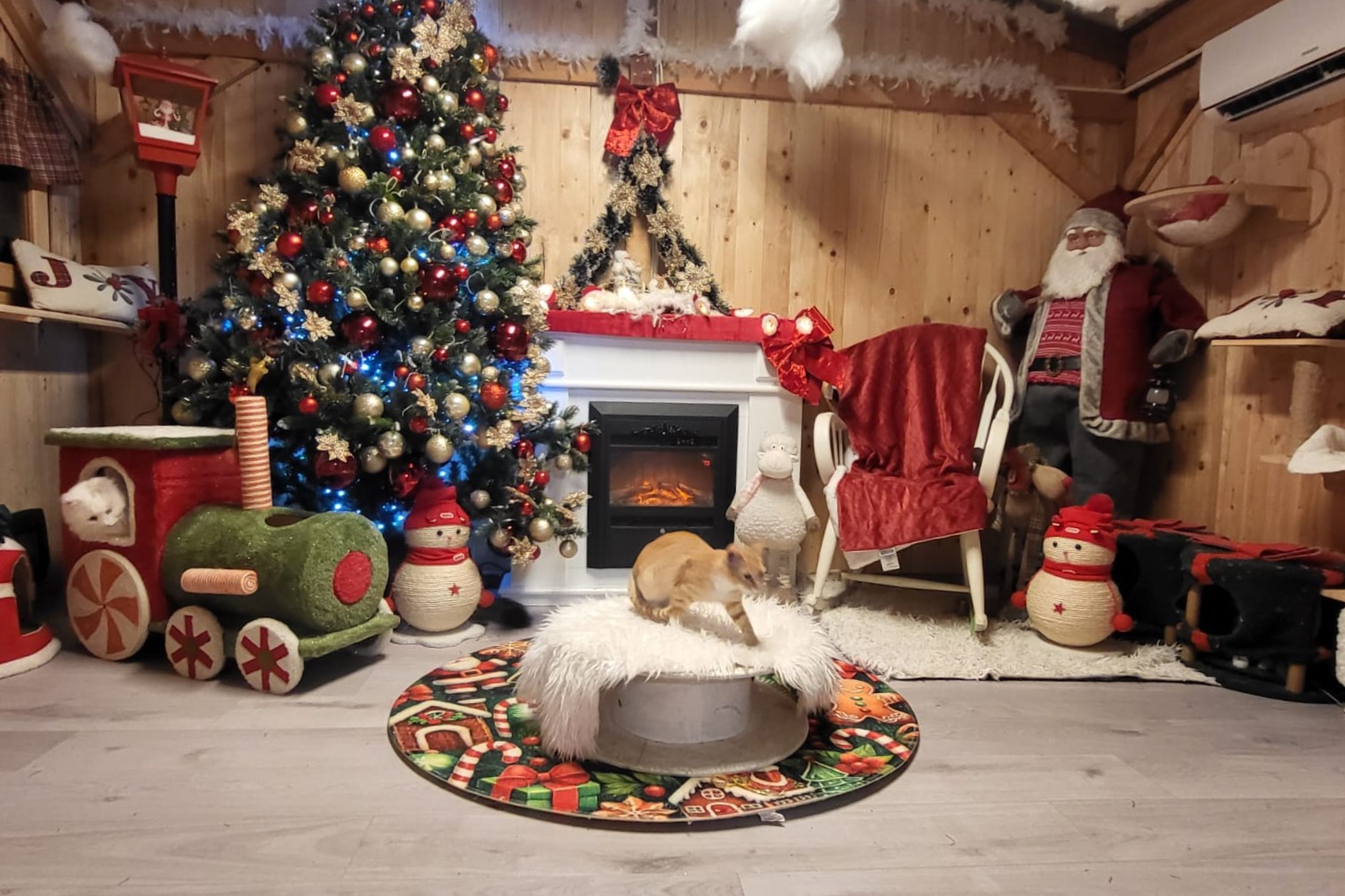 Cat Advent i Advent u Azilu – ArtKvart